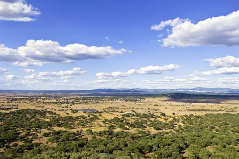 The natural world: Learning English - Linguahouse.com