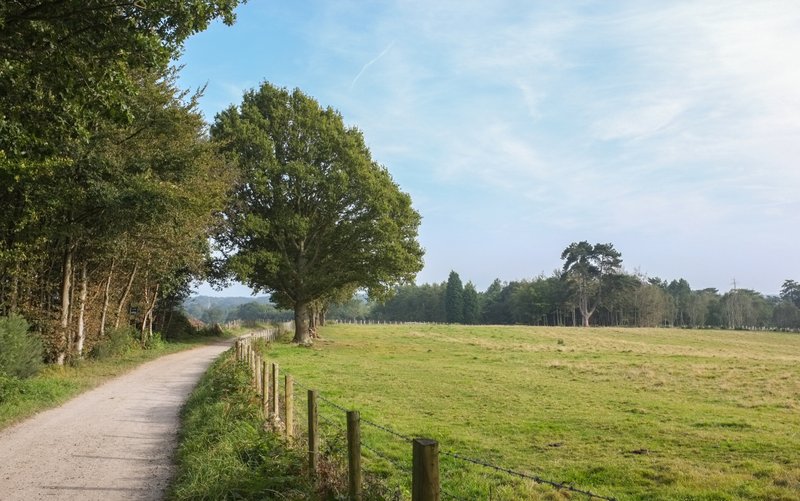 Countryside and city: ESL/EFL Lesson Plan and Worksheet