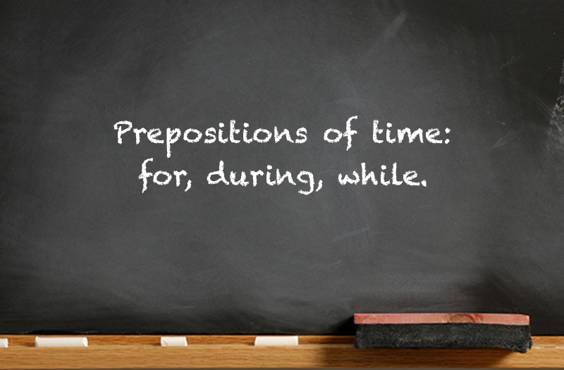 Prepositions of time: for, during, while: ESL/EFL Lesson Plan and Worksheet
