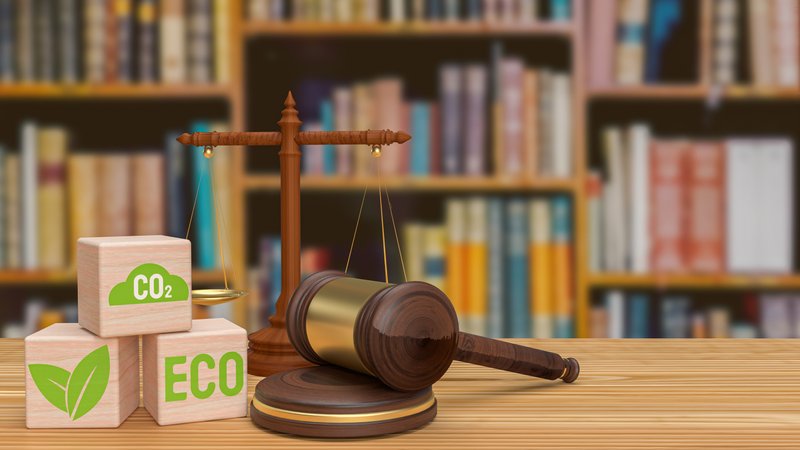 Climate rights: ESL/EFL Lesson Plan and Worksheet