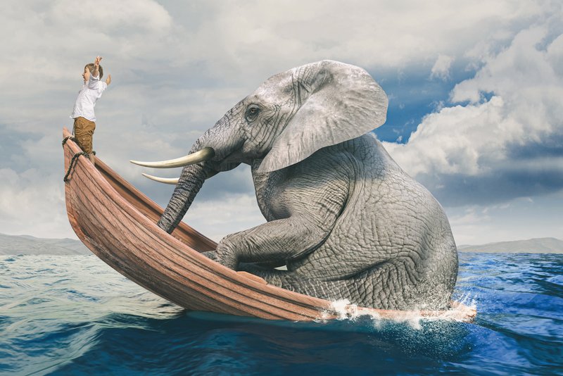 One little elephant: ESL/EFL Lesson Plan and Worksheet