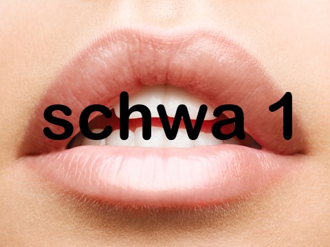 The schwa 1: ESL/EFL Lesson Plan and Worksheet