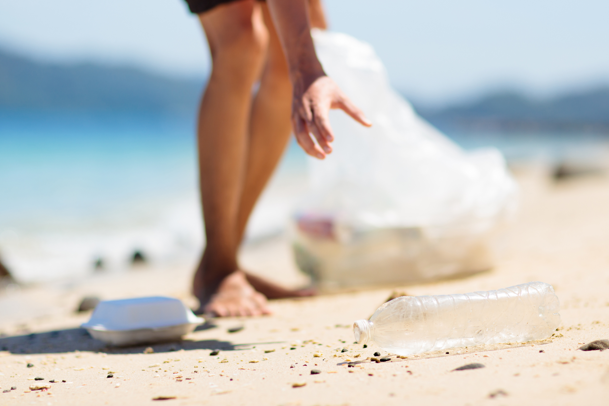 Beach clean up: ESL/EFL Lesson Plan and Worksheet