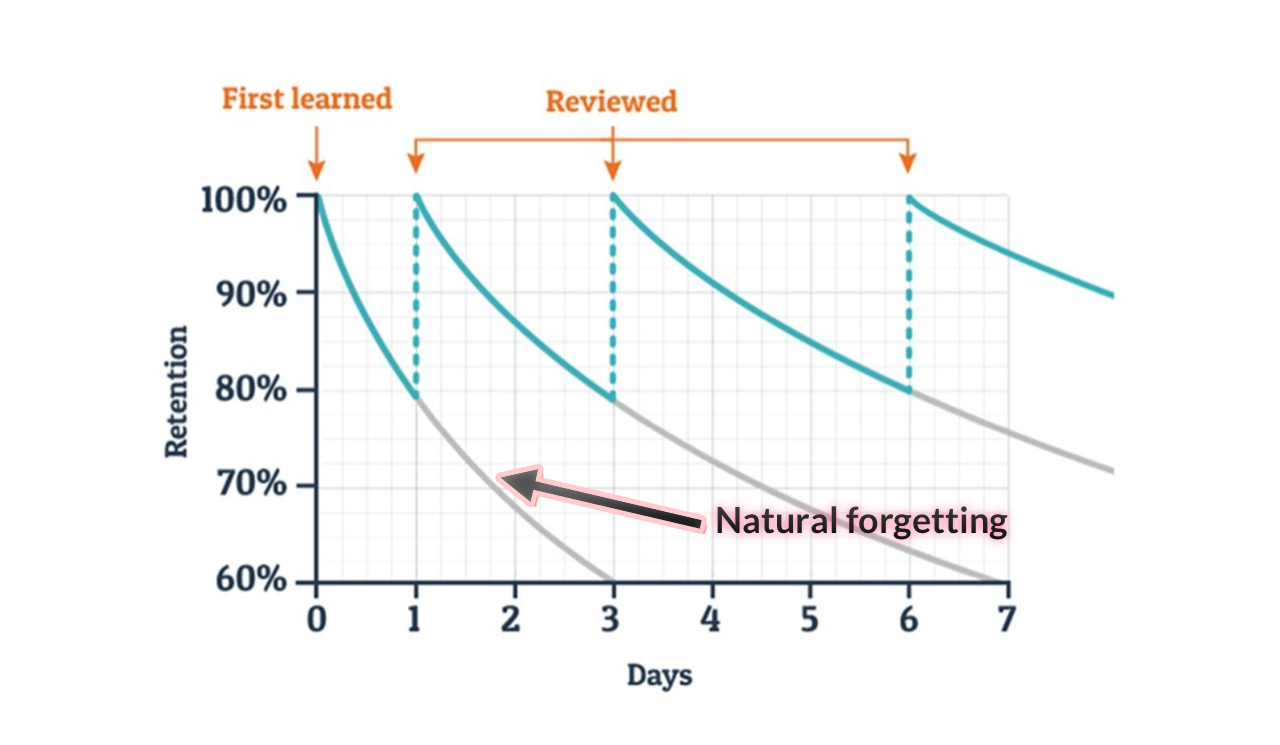 From forgetting to remembering: How Expemo benefits educators and students