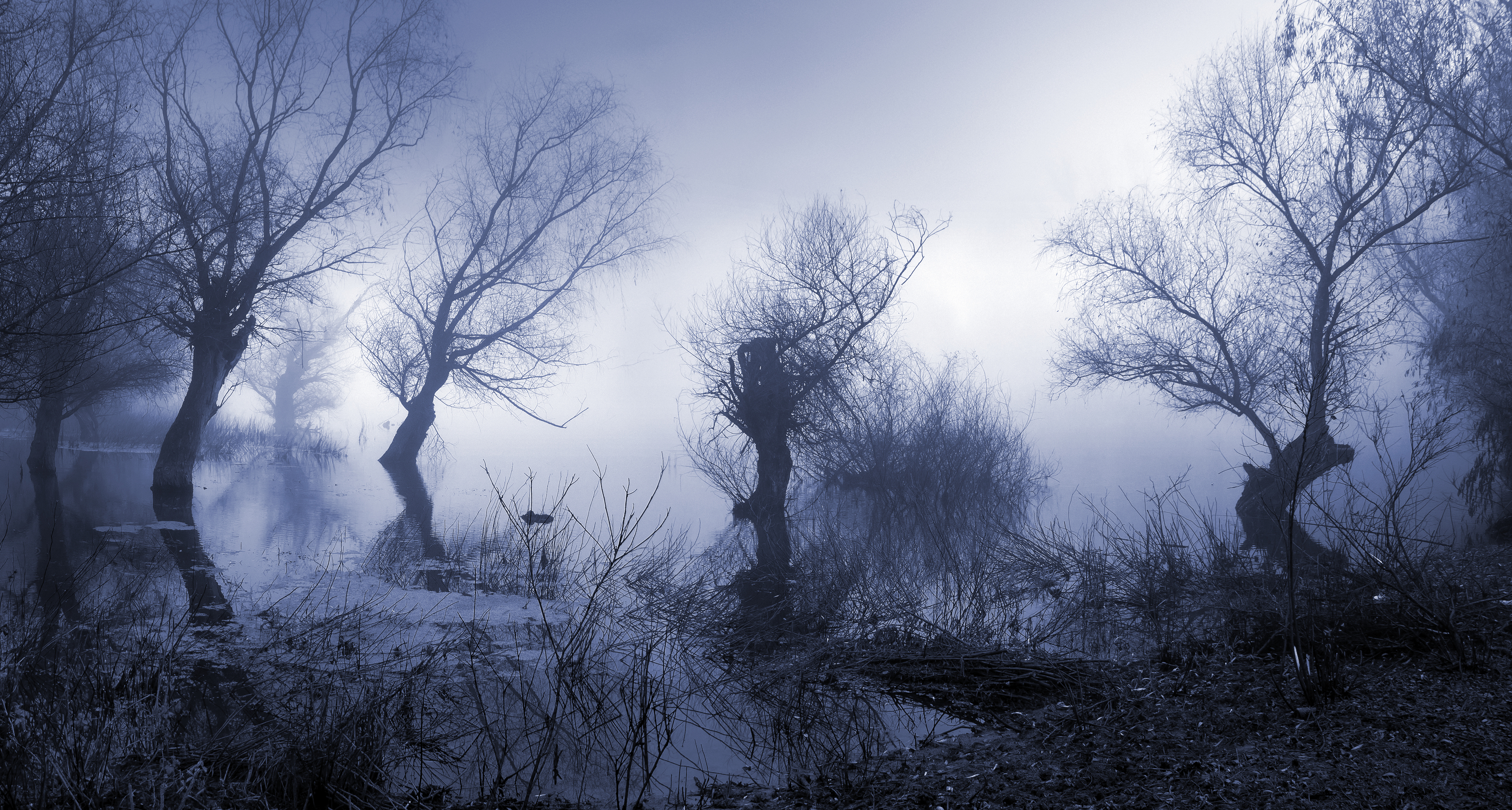 The legend of Beowulf: ESL/EFL Lesson Plan and Worksheet