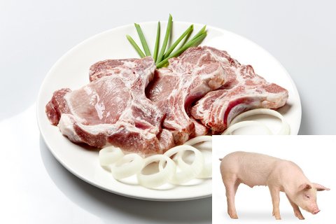 Food: Learning English - Linguahouse.com