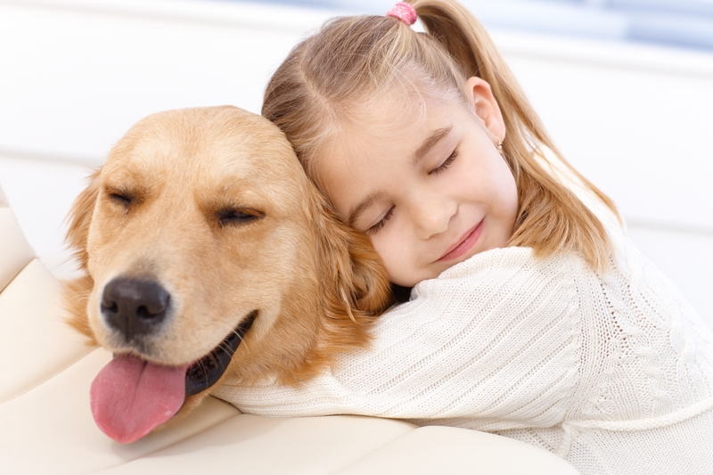 Pet benefits: ESL/EFL Lesson Plan and Worksheet