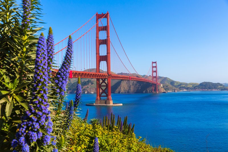 Visiting the United States of America: California: ESL/EFL Lesson Plan ...