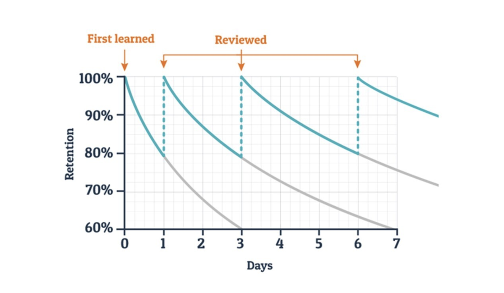 The power of spaced repetition
