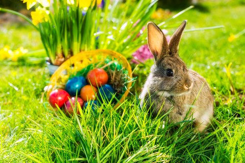 Easter words and traditions: ESL/EFL Lesson Plan and Worksheet