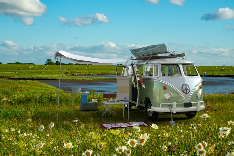 Van life: ESL/EFL Lesson Plan and Worksheet