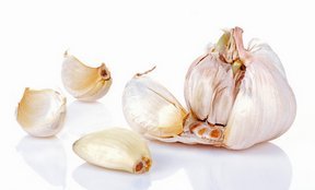 Food: Learning English - Linguahouse.com